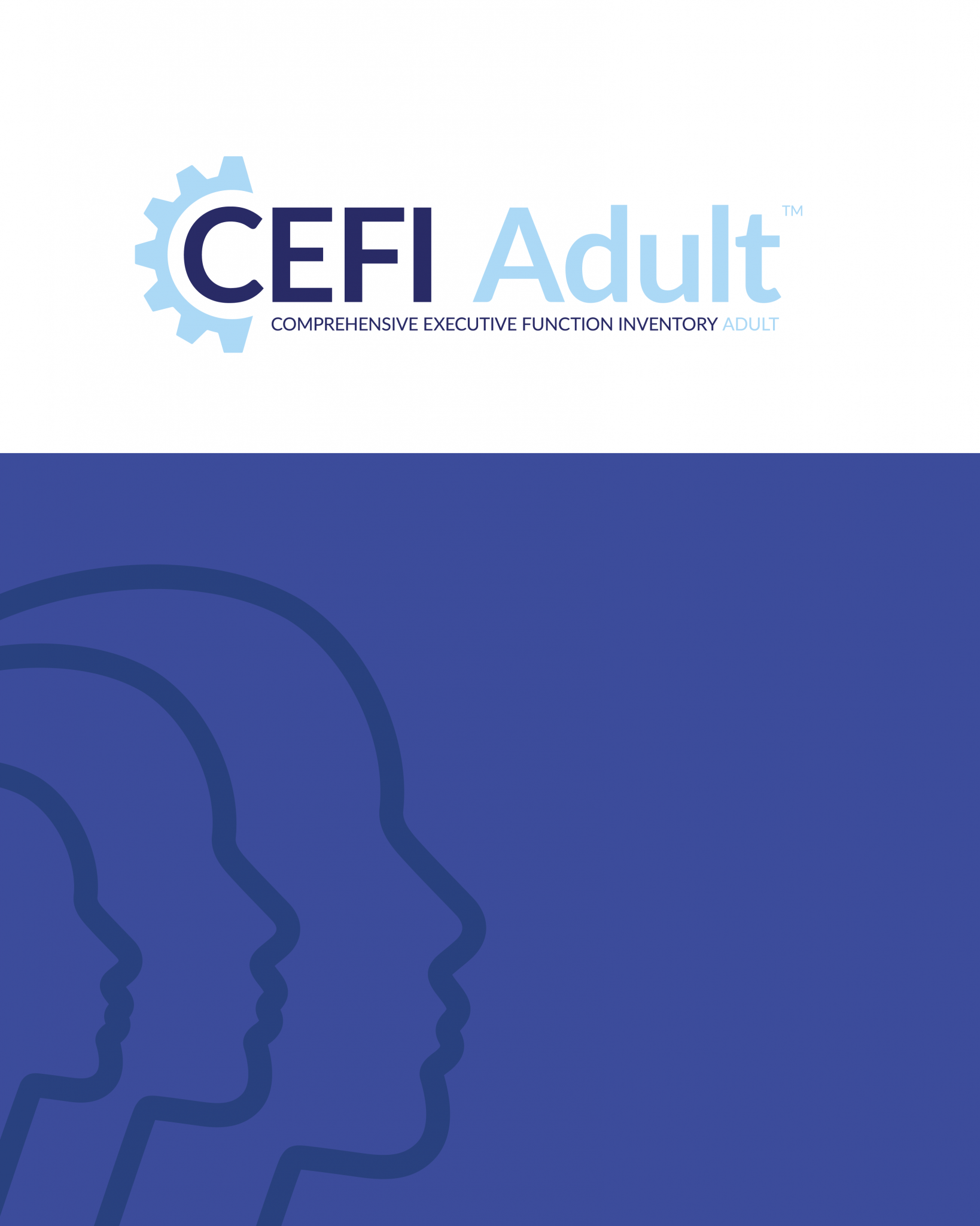CEFI Adult Online Observatørskema - Dansk Psykologisk Forlag