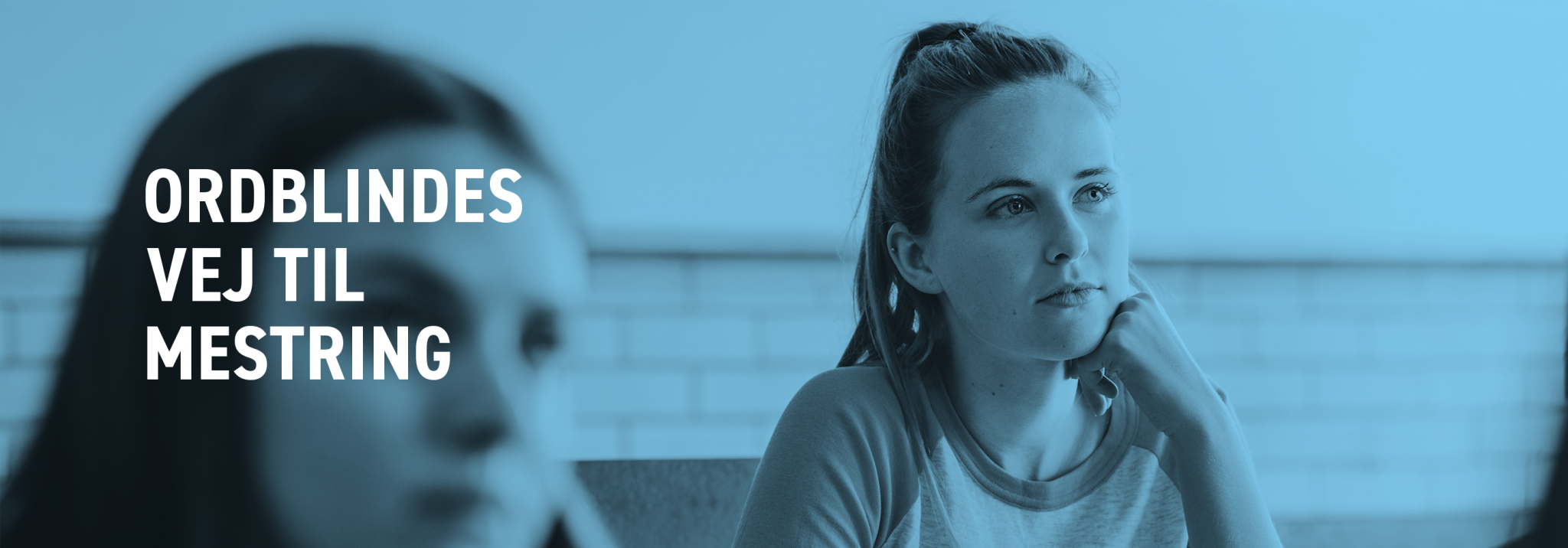 Ordblindes vej til mestring - Dansk Psykologisk Forlag